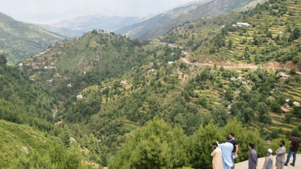 Projet de reforestation, agir pour reboiser vos forêts | EcoTree