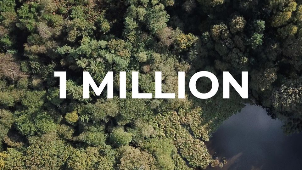 We’re celebrating one million trees in EcoTree forests!
