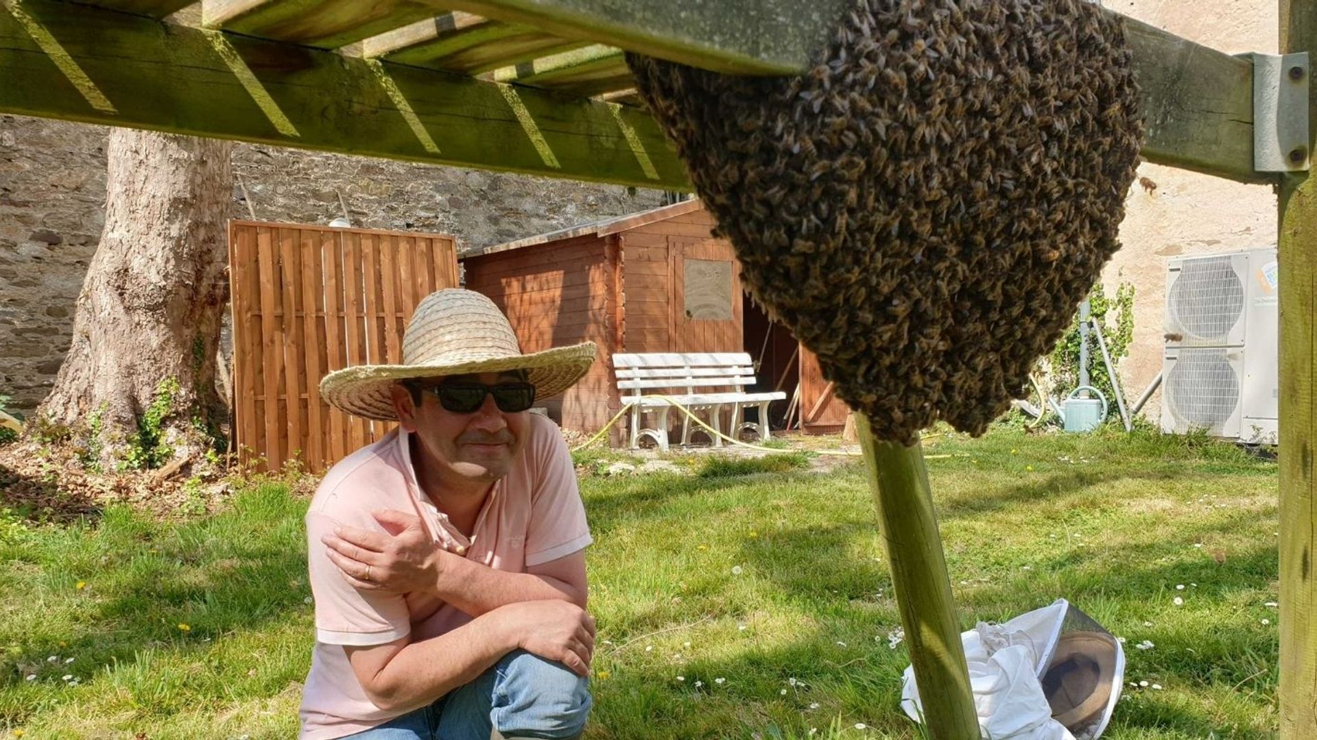 Essaimage : pourquoi les abeilles déménagent-elles au printemps