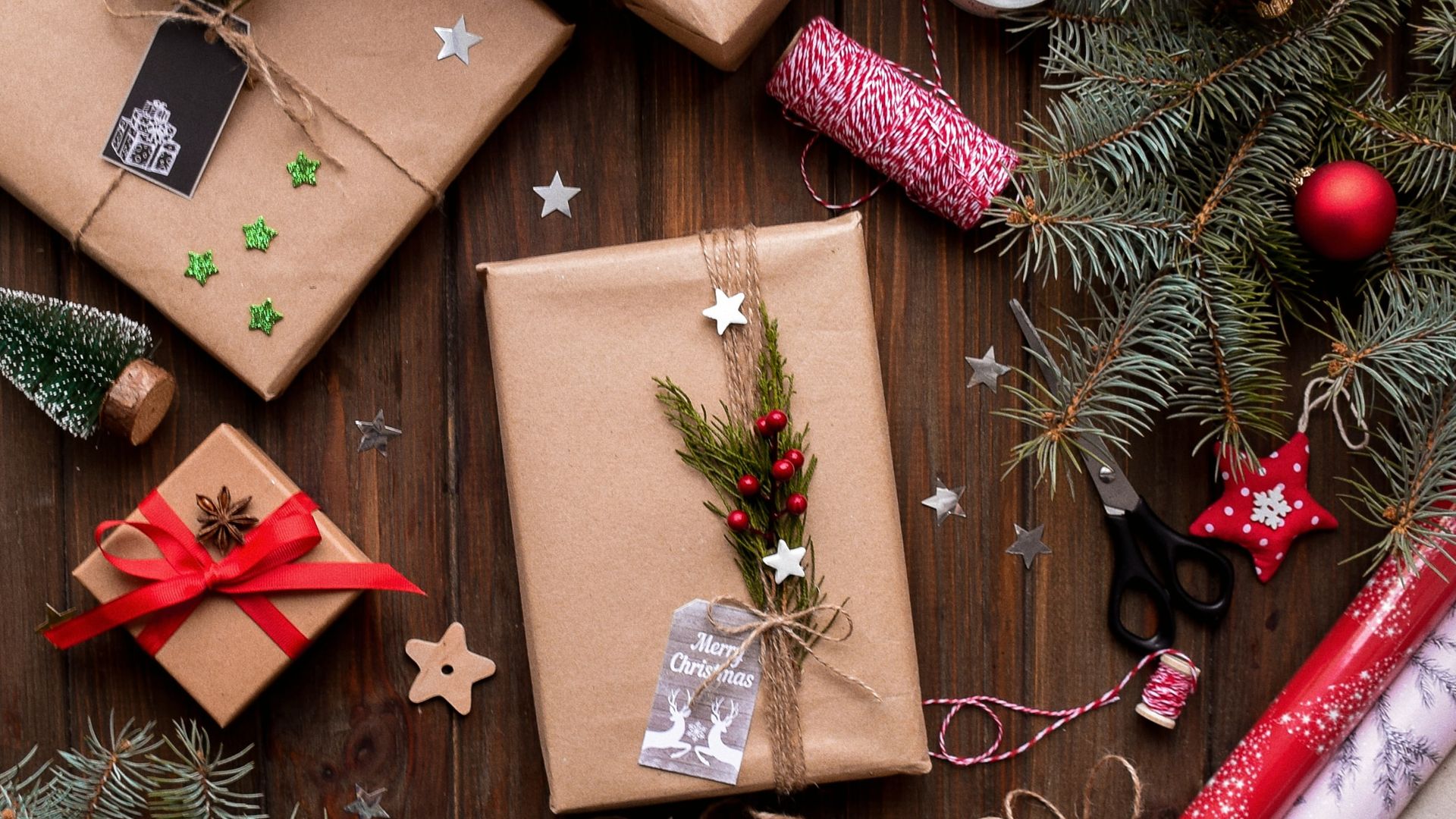 How to give a tree as a gift? 6 tips for a beautiful present | EcoTree