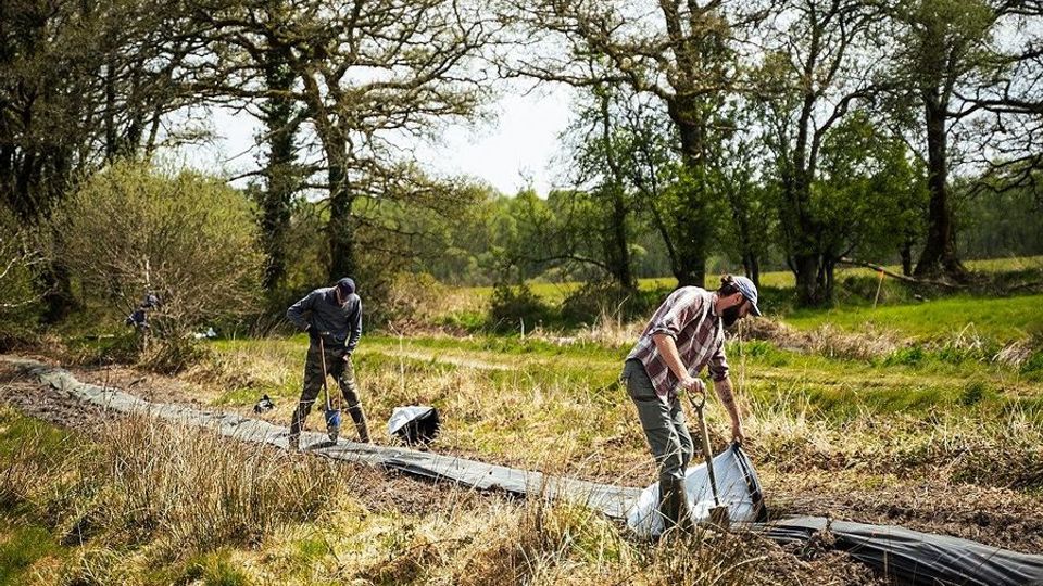 What's sustainable forestry and why's it important for the forest?