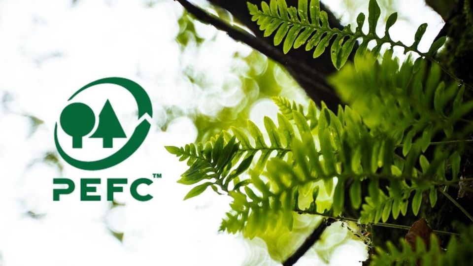 What does the PEFC Certification mean for Sustainable Forestry? | EcoTree
