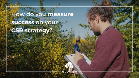 How do you measure success on your CSR strategy? | EcoTree