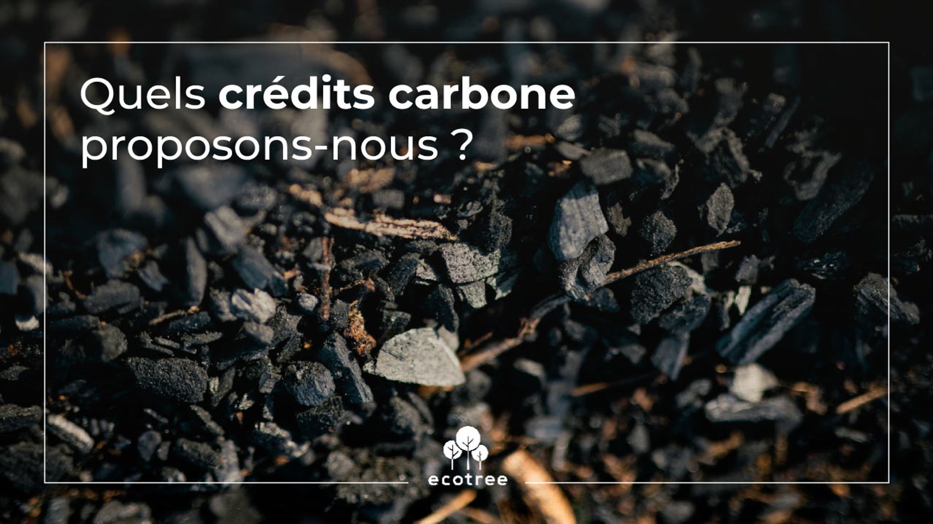 Obtenir des crédits carbone via des projets forestiers | EcoTree