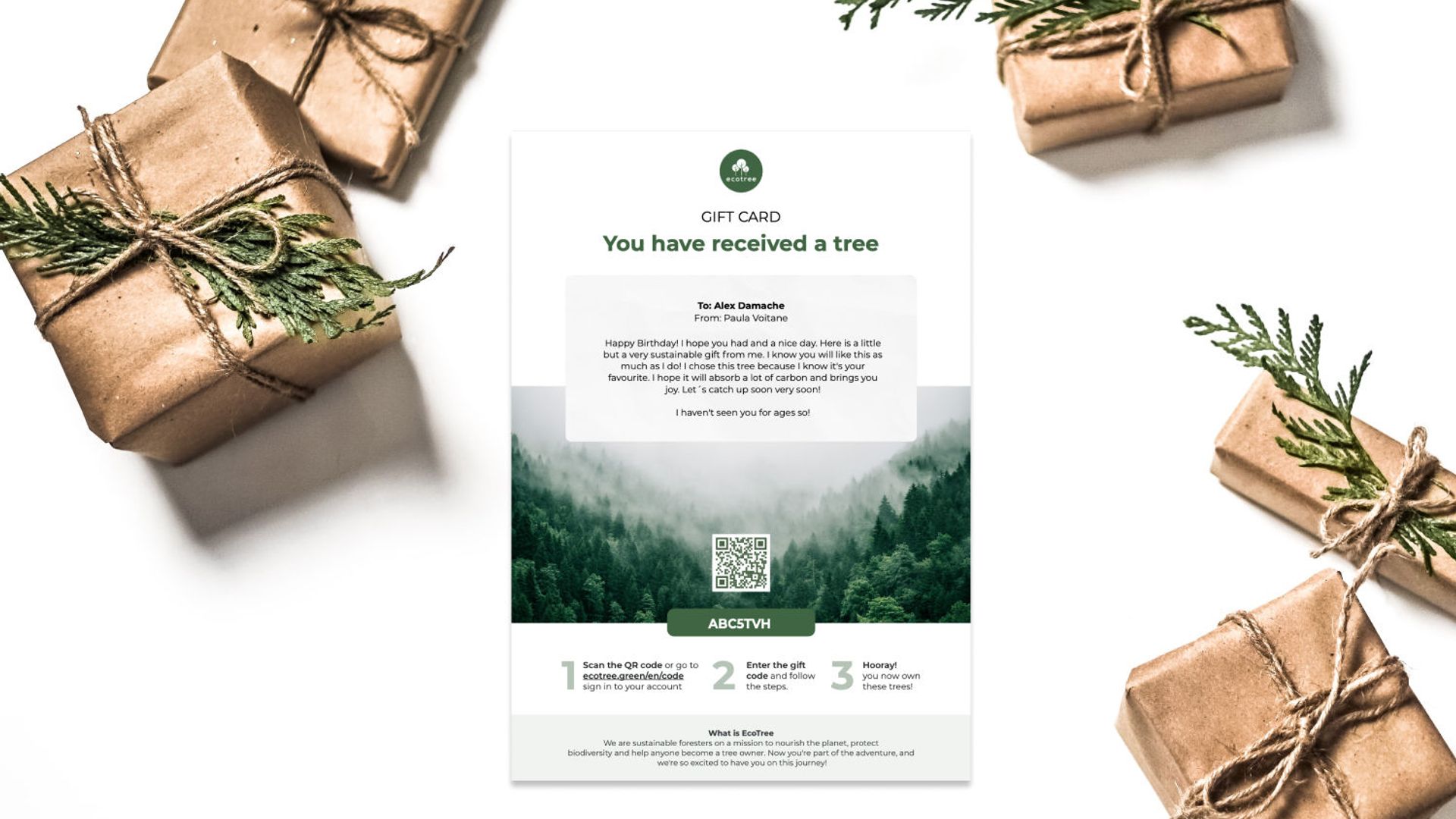 You have received a tree as a gift - but what does it mean? | EcoTree