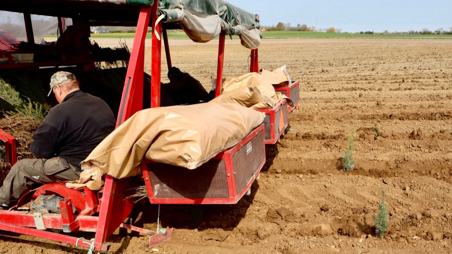 EcoTree plants first trees in Danish forests