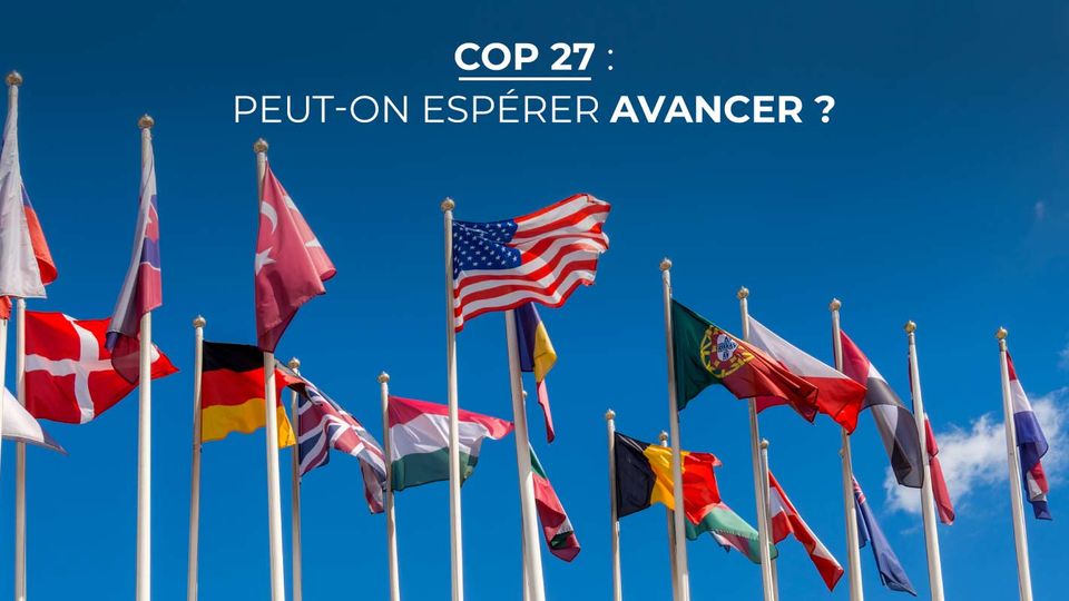 COP 27 : quels enjeux et quelles attentes ? | EcoTree