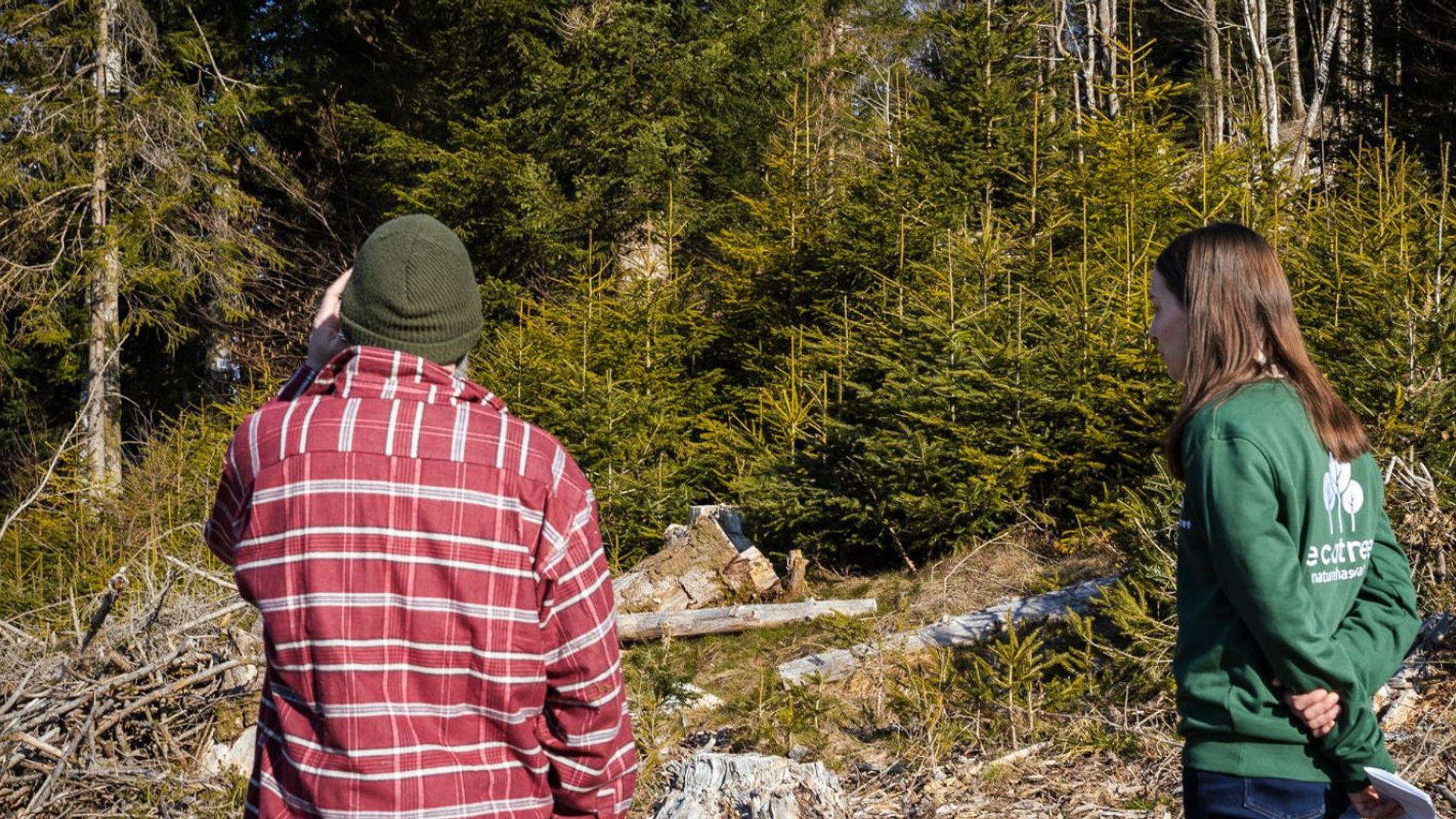 Acquisition de forêt ou de terre à boiser : quelle est notre méthode