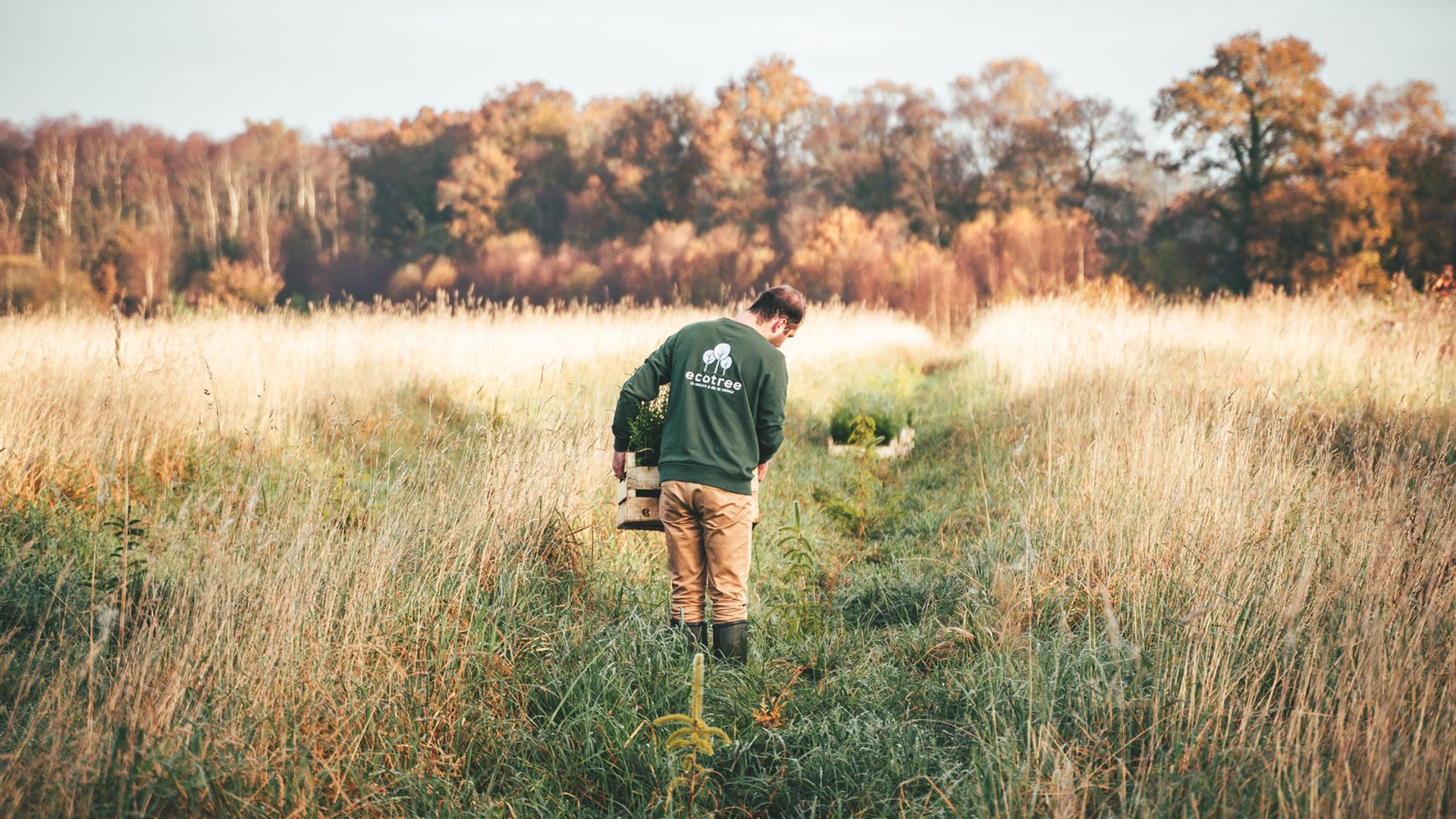 Portrait de Gauthier de Lachaise, chargé de projet forestier | EcoTree