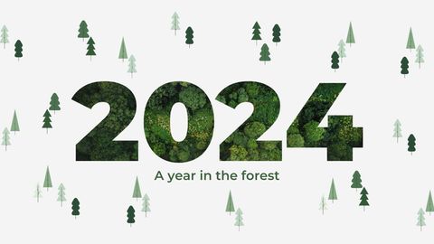 A year in the forest: 2024 achievements | EcoTree