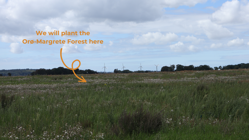 EcoTree launches new forest project on Orø