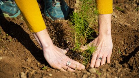 Green Friday 2024: Your guide for a more sustainable black friday