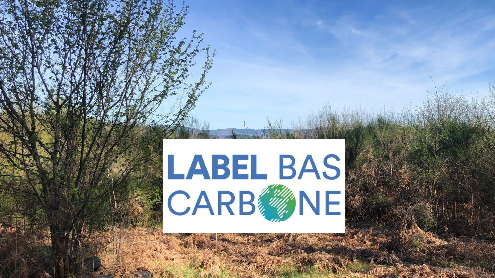 Label bas-carbone : qu’est-ce que c’est, comment l’obtenir ? | EcoTree