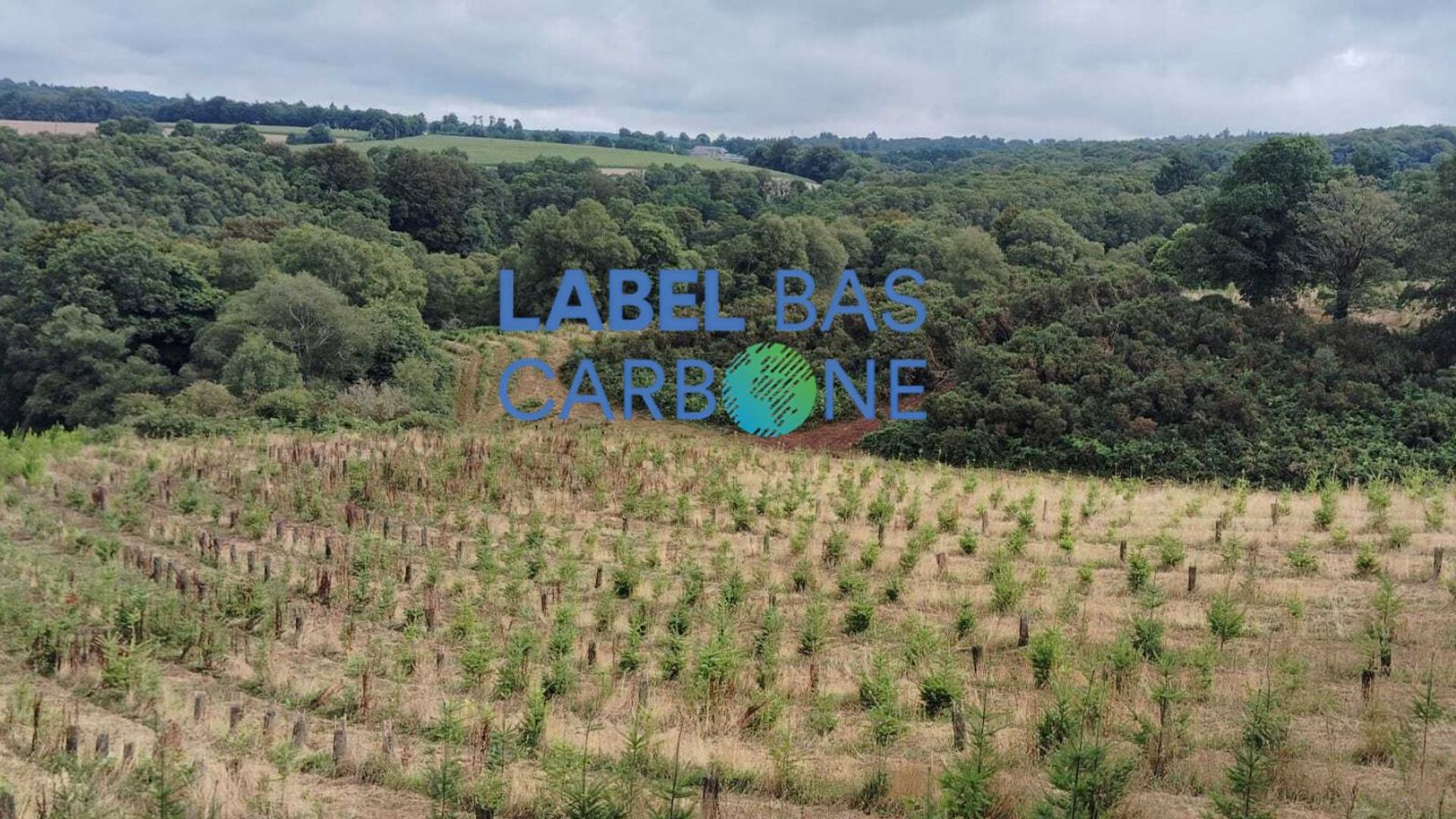 Qu'est-ce que le Label Bas Carbone ? | Certification carbone en France