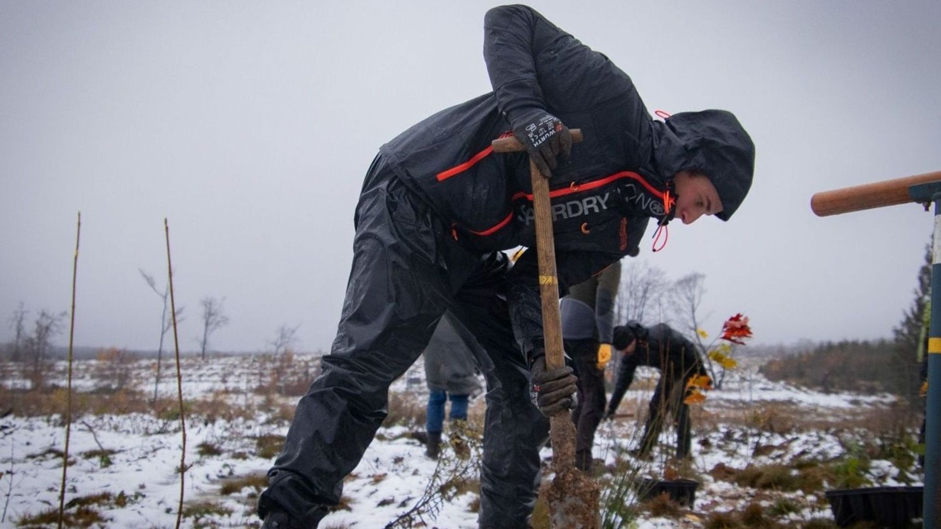 What Happens in the Forest During Winter? | EcoTree’s Year-Round Forest ...