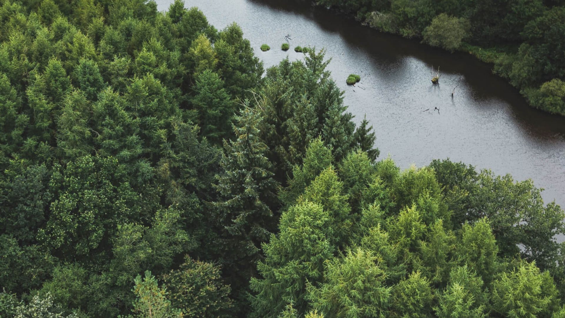 10 reasons to take a walk in the woods and start forest hiking